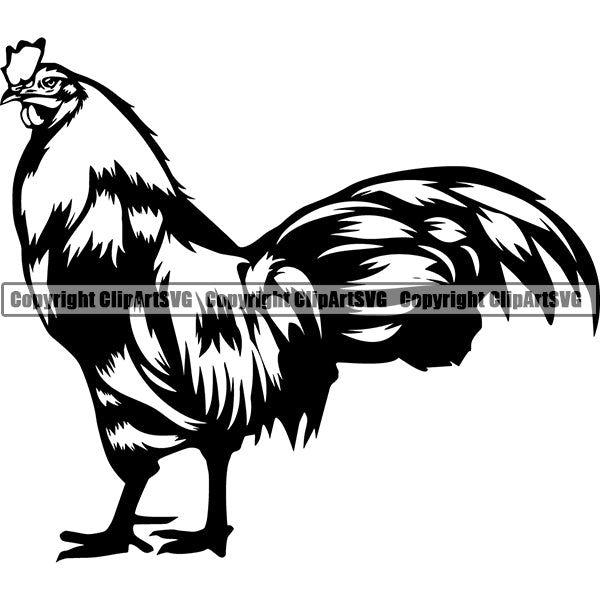 Rooster Chicken Bird Farm Animal ClipArt SVG – ClipArt SVG
