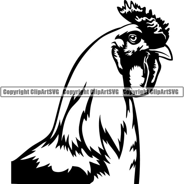 Chicken Rooster Bird Farm Livestock Animal ClipArt SVG – ClipArt SVG