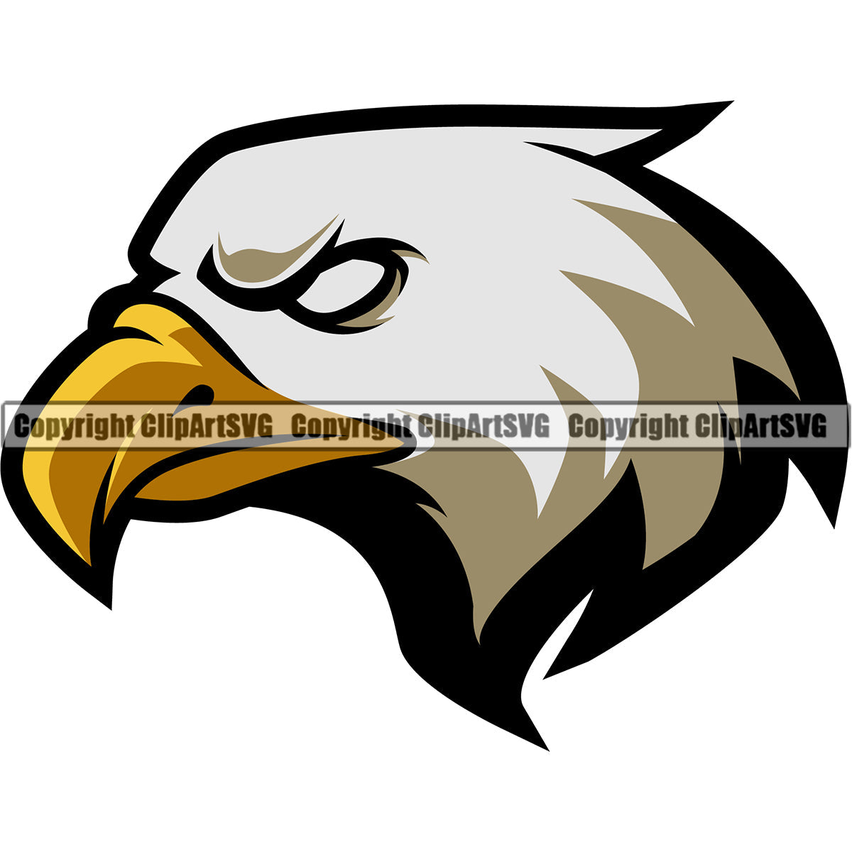 Eagle Eagles Ameircan Bald USA America Bird Animal Wings Flying Freedom ...
