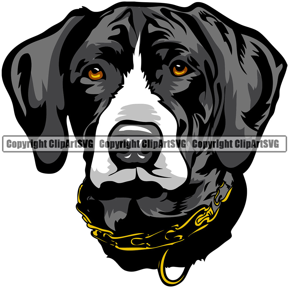 pointer dog clipart