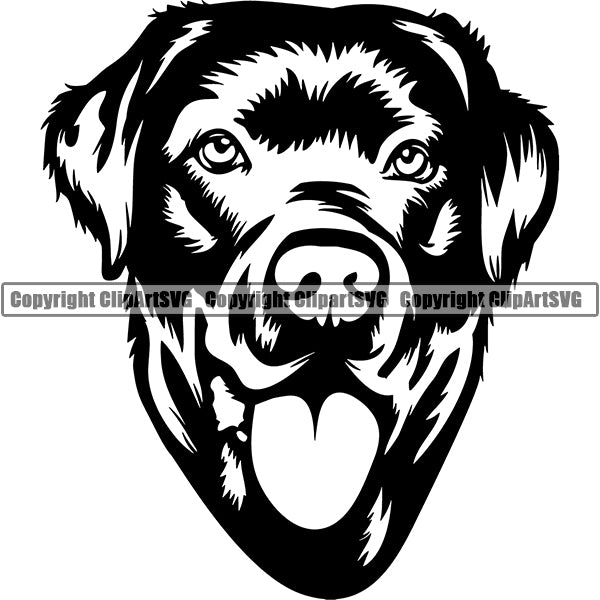Labrador Retriever Dog Breed Head Face ClipArt SVG – ClipArt SVG