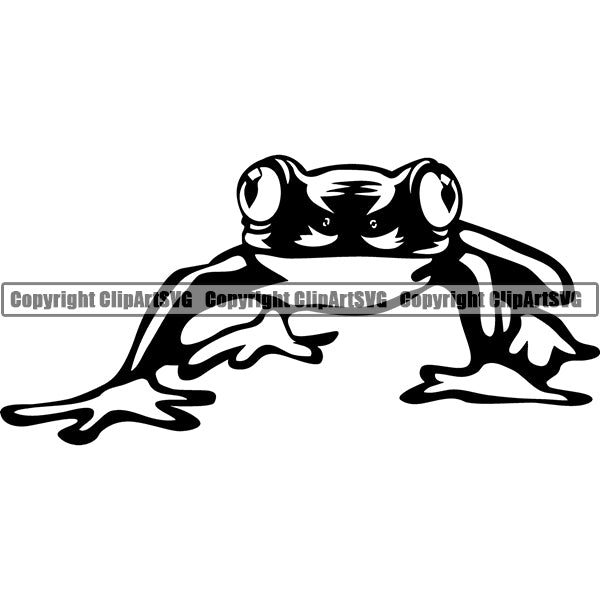 Frog Toad Animal ClipArt SVG – ClipArt SVG