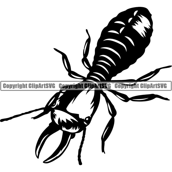 Termite Insect Pest Animal ClipArt SVG – ClipArt SVG