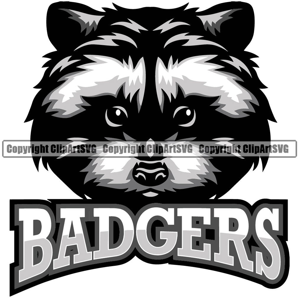 Badger Sport Team Logo Vector Animal Badger Mascot Color Combo Clipart ...