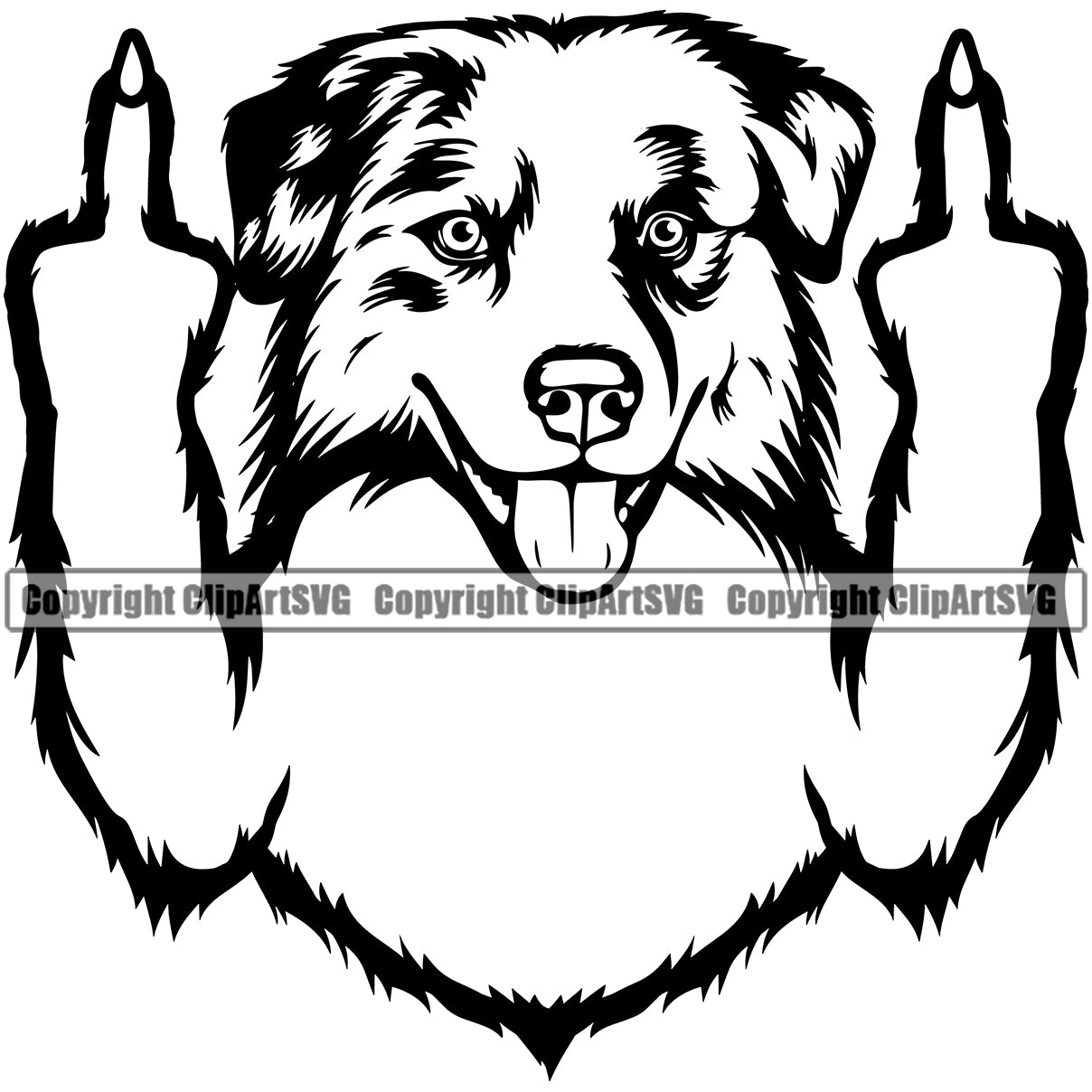 Australian Shepherd Dog Middle Finger Animal Dog Portrait Doggy Face ...