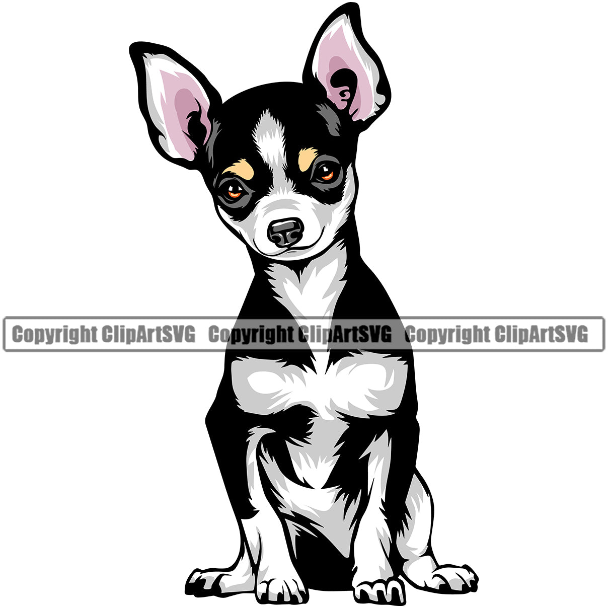 Chihuahua Dog Sitting Vector Design Smile Face Puppy Pup Pet Purebred ...