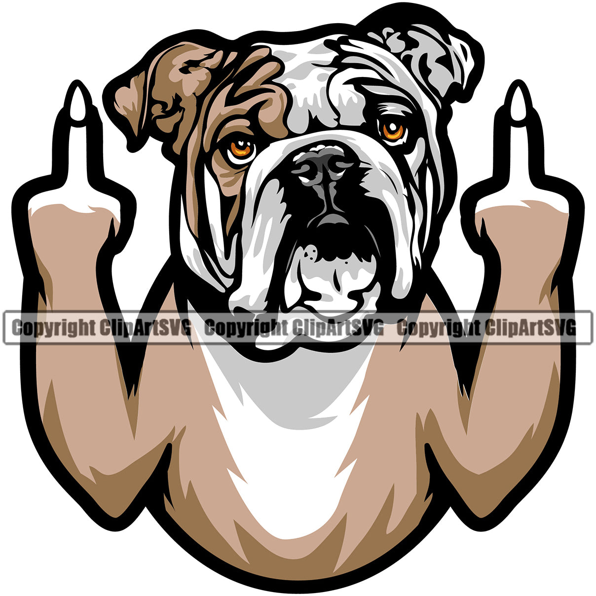 English Bulldog Middle Finger Sign Color Puppy Head Purebred Pup ...