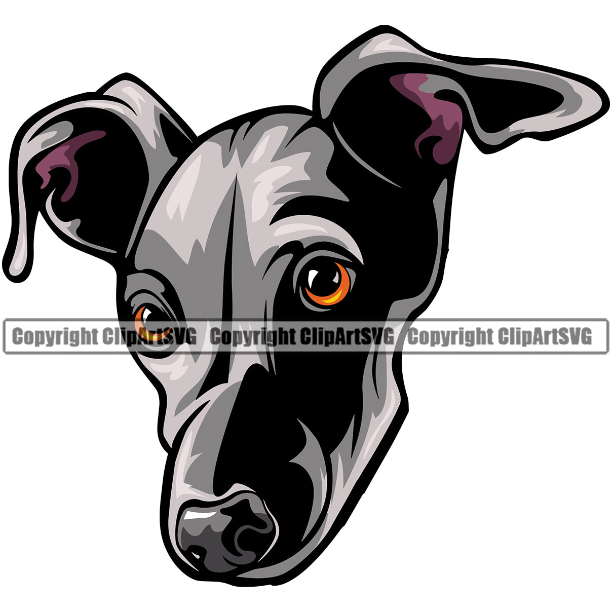 Greyhound Vector