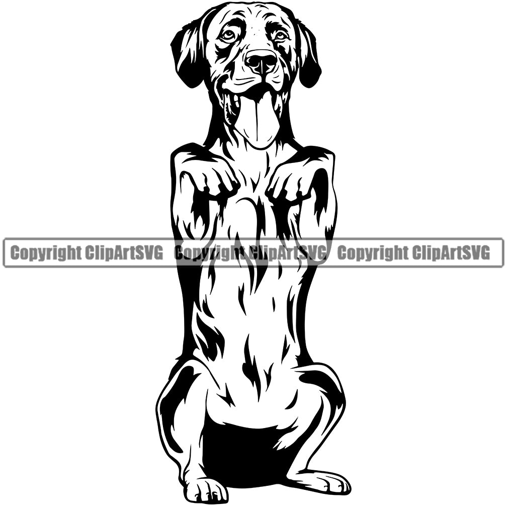 Begging Dog Silhouette