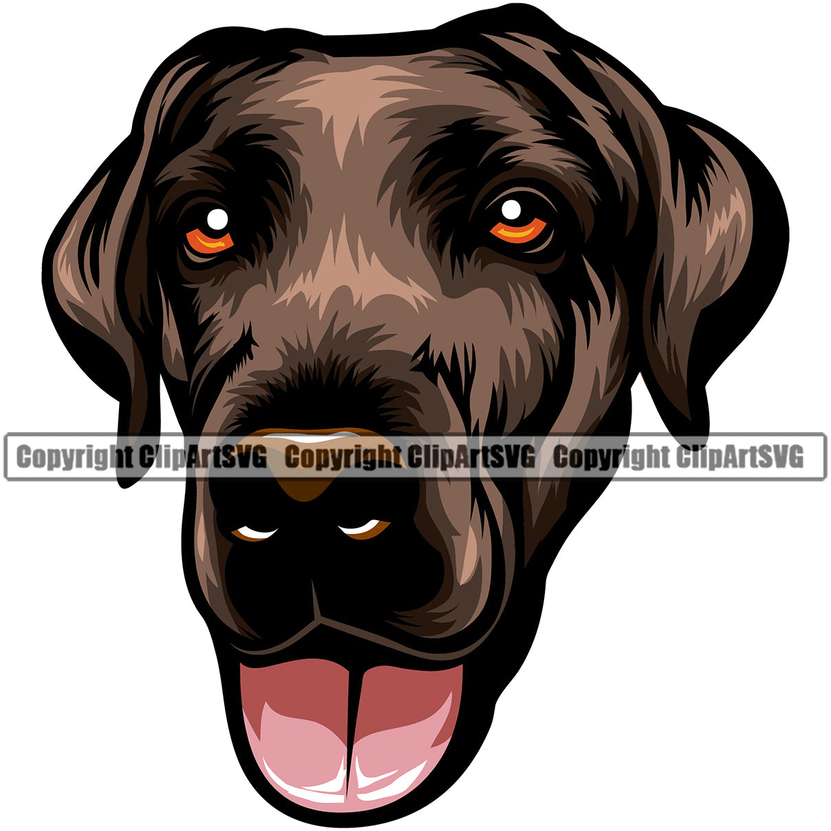 Labrador Brown Color Dog Design Puppy Pup Head Purebred Animal Portrait ...