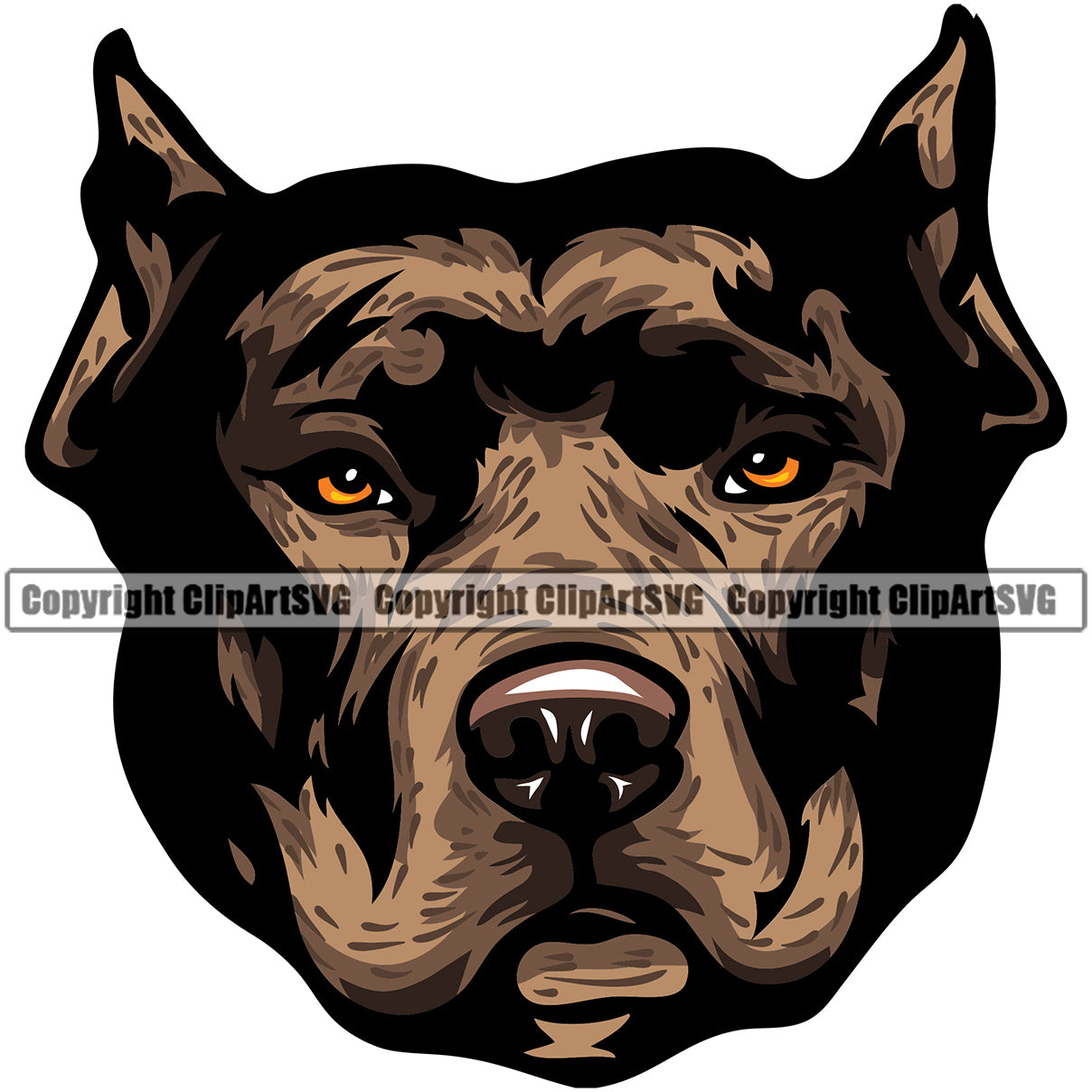 Pit Bull Dog Brindle Color Design Puppy Pup Head Purebred Pedigree ...