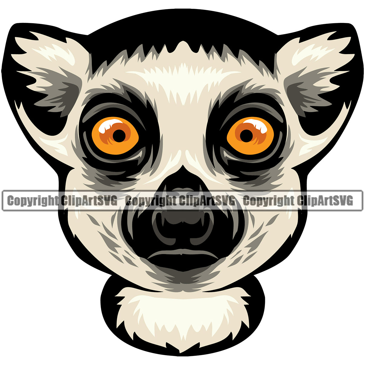 Lemur Lemurs Lemur Madagascar Monkey Primate Head Face Wild Animal ...
