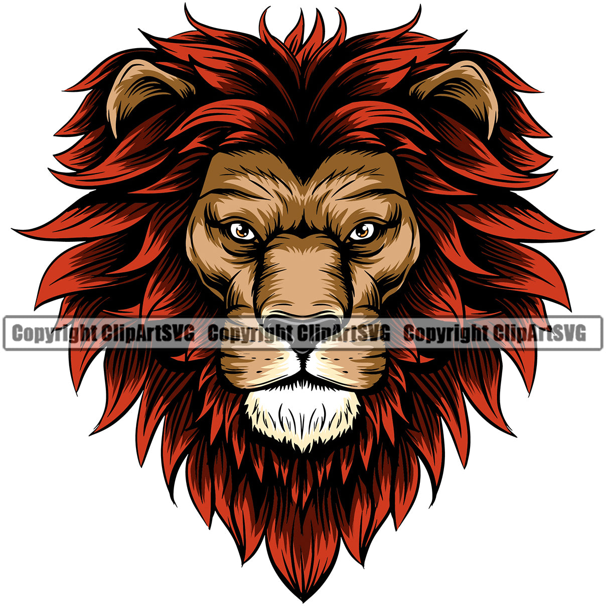 Lion Lions Wild Big Cat Wildlife Predator Beast King Of The Jungle ...