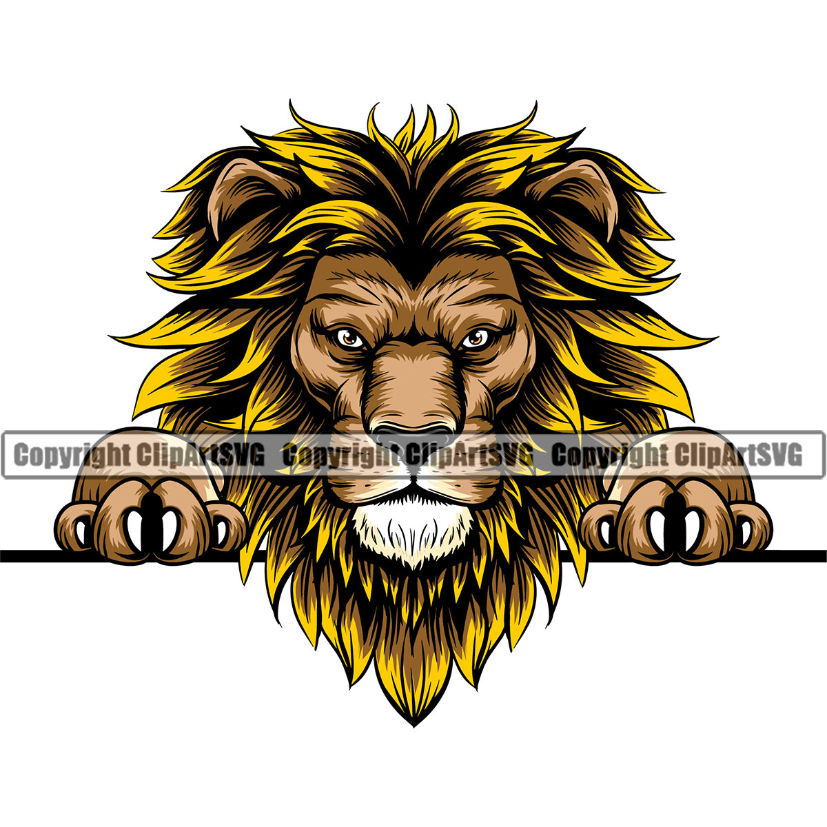 Lion Lions Wild Big Wildlife Cat Predator Beast King Of The Jungle ...