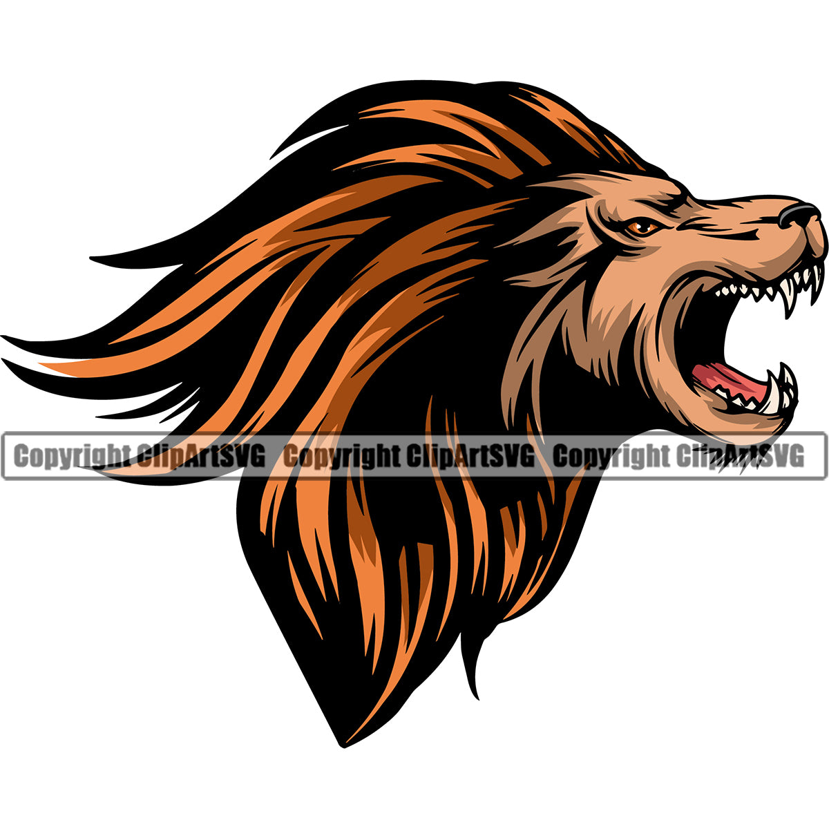 Lion Lions Wildlife Wild Big Cat Predator Beast King Of The Jungle ...